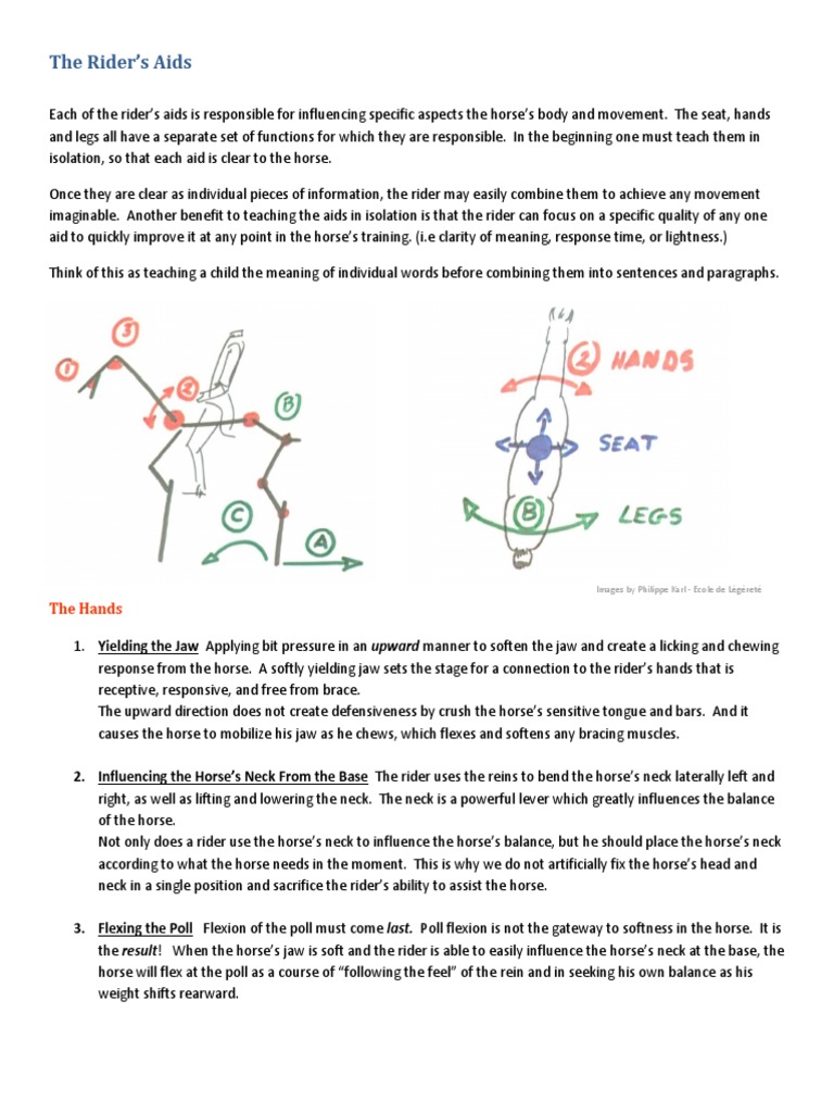 The Rider's Aids | PDF | Equestrianism | Horses