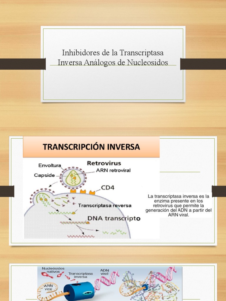 Inhibidores de Transcriptasa Inversa: Nucleósidos | PDF | Metabolismo ...