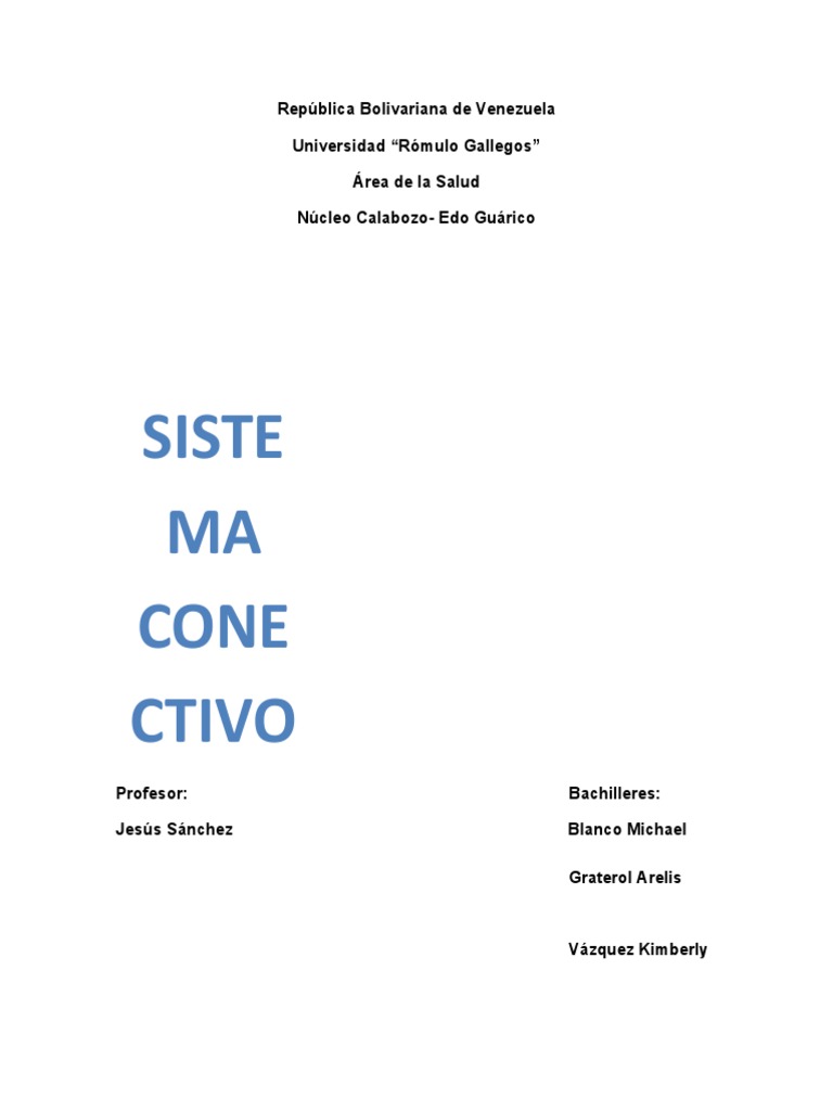 Tejido Conectivo Anatomia Pdf Tejido Conectivo Colágeno