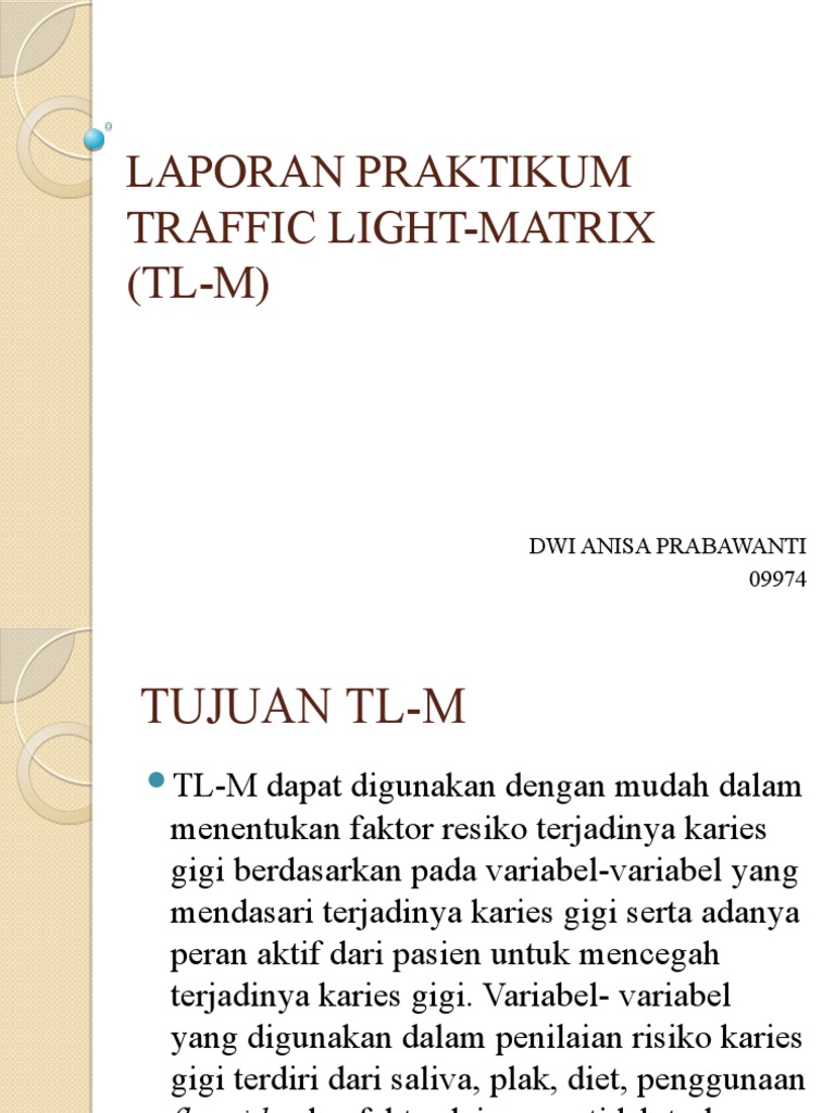 Laporan Praktikum Traffic Light-Matrix (TL-M) : Dwi Anisa Prabawanti 09974 | PDF