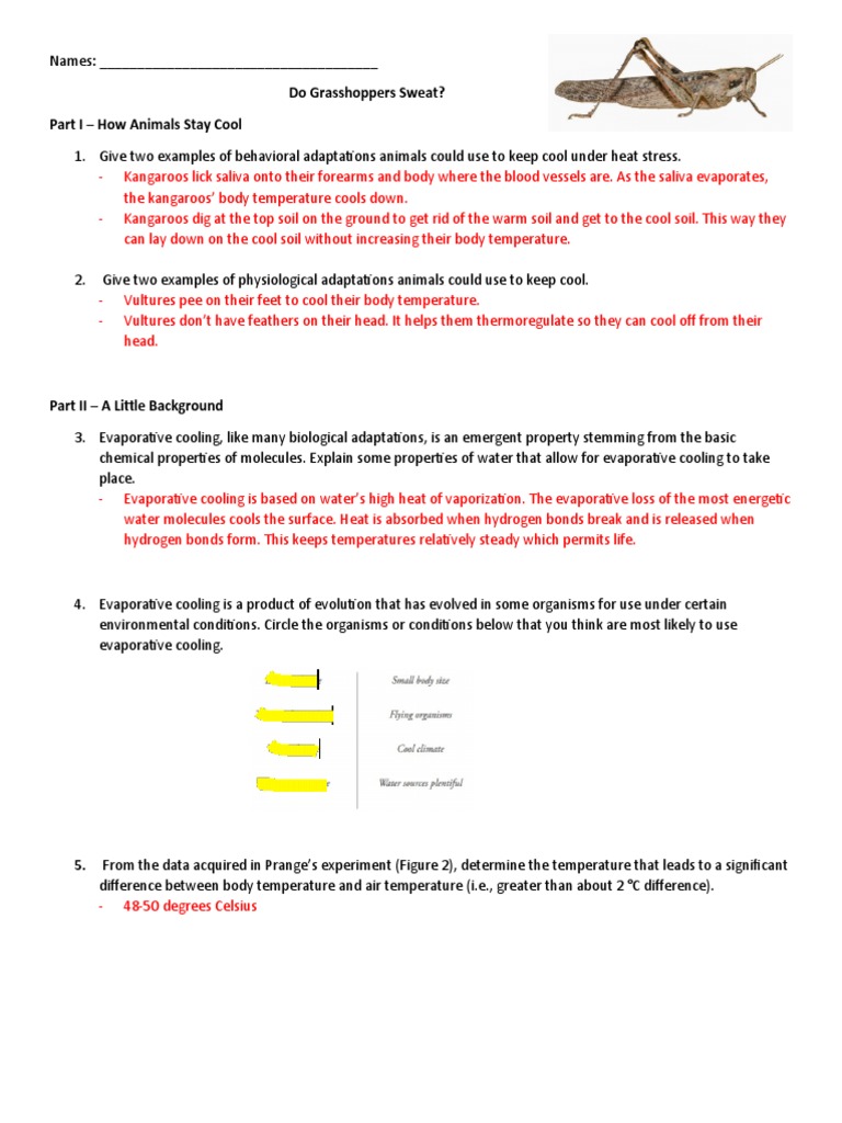 Grasshoppers Case Study | PDF | Evaporation | Thermoregulation