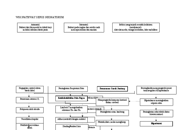 WOC Sepsis Neonatorum | PDF
