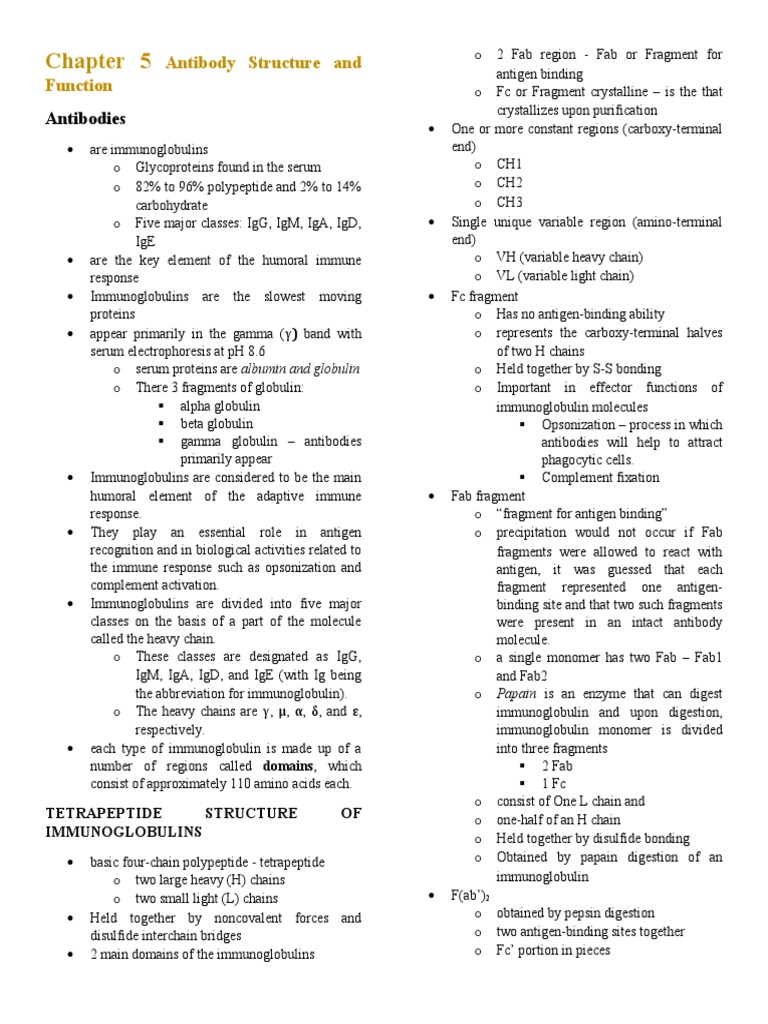 Chapter 5 Antibody Structure and Function | PDF | Immunoglobulin G ...