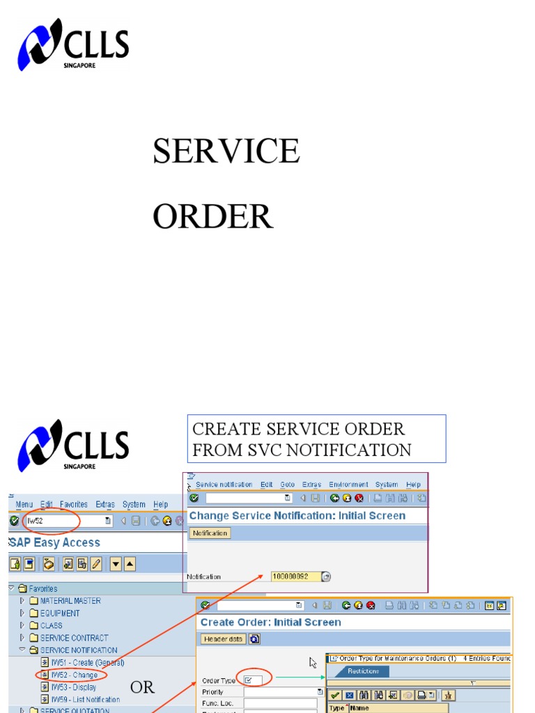 SERVICE ORDER - Sap | PDF | Logistics | Computing