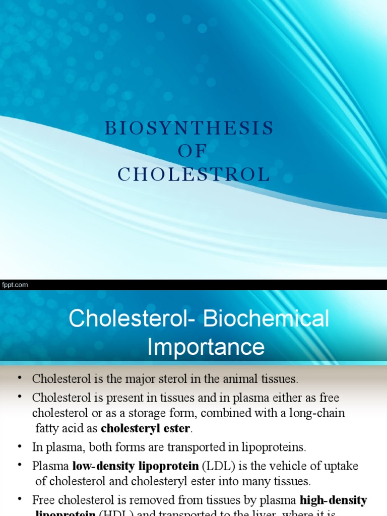 Cholesterol Synthesis 1 | PDF | Cholesterol | Lipoprotein