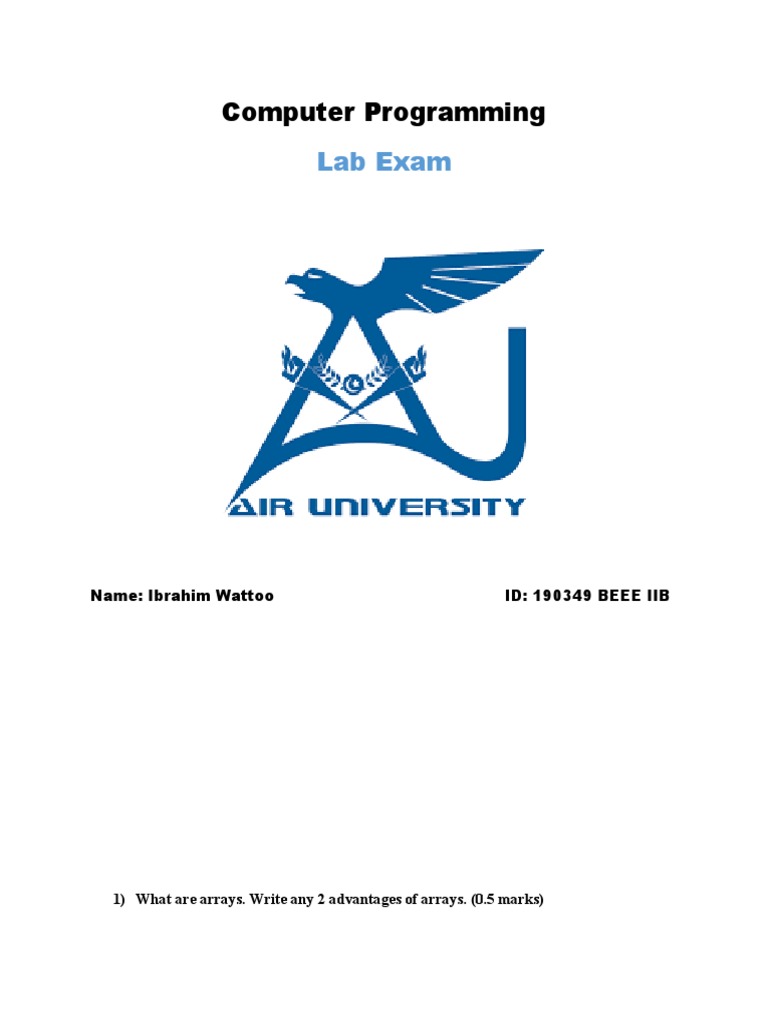 Computer Programming Lab Exam Guide | PDF