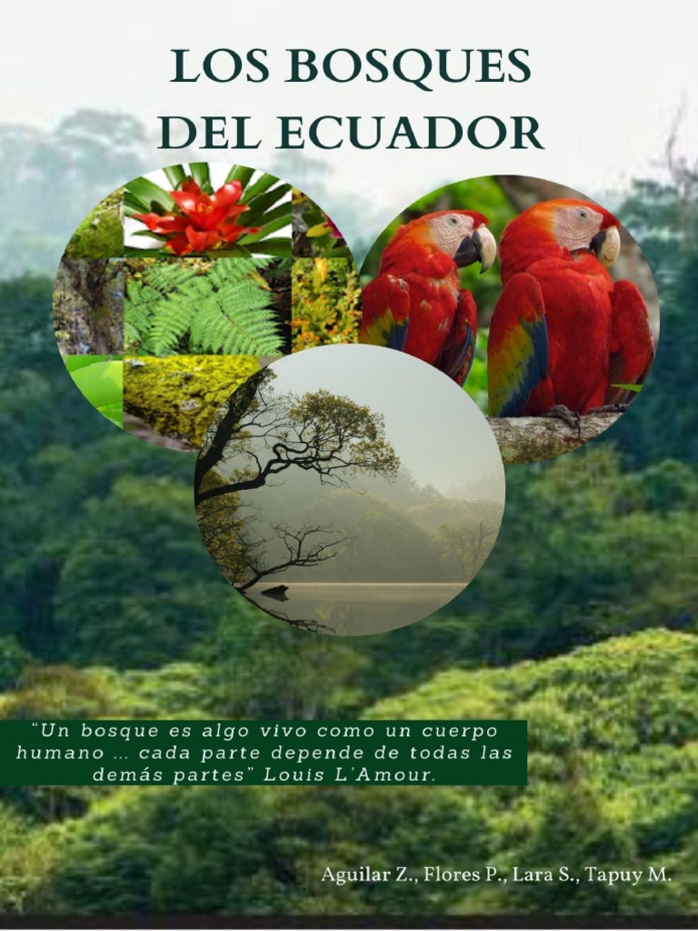 Libro Los Bosques de Ecuador.. | PDF | Deforestación | Los bosques
