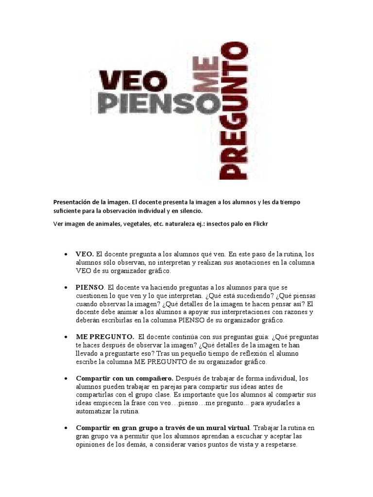 Veo, Pienso y Me Pregunto-Actividad | PDF | Epistemología | Conceptos ...