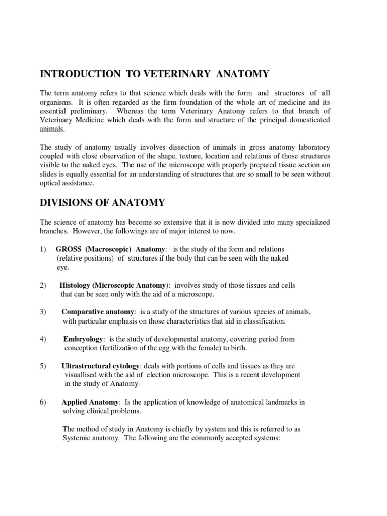 Introduction To Veterinary Anatomy | PDF | Vertebra | Vertebral Column
