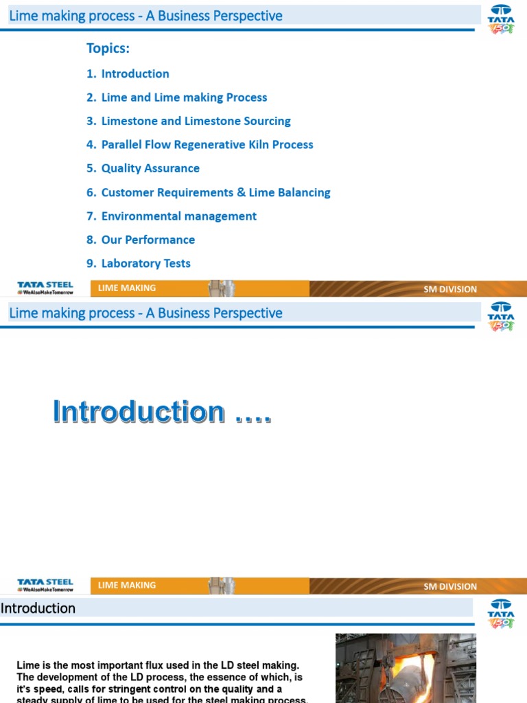 Lime Making Process - A Business Perspective Rev1 | PDF | Combustion ...