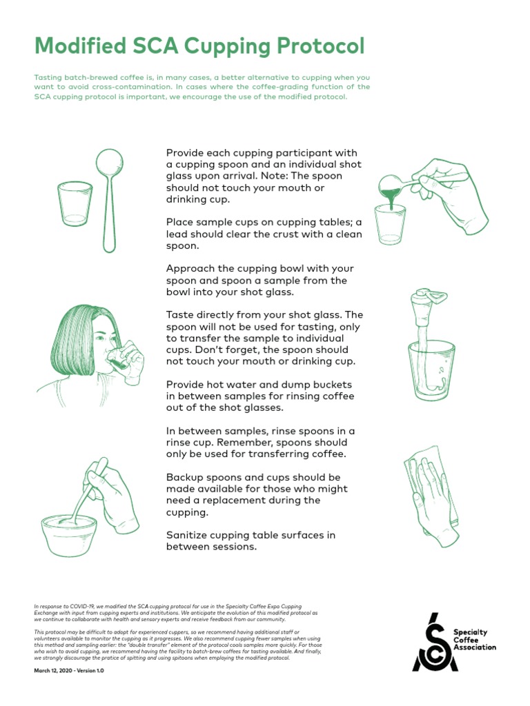 Modified SCA Cupping Protocol 2020 Release v1 | Beverages | Nature