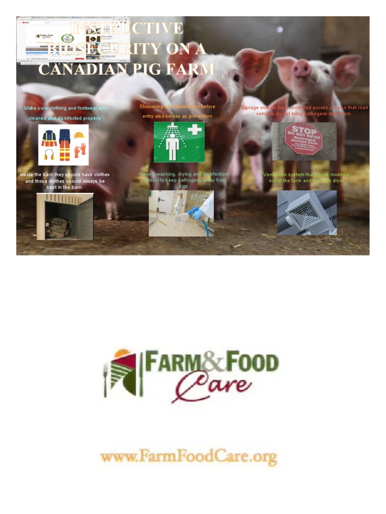 Instructive Biosecurity On A Canadian Pig Farm: Make Sure Clothing and ...