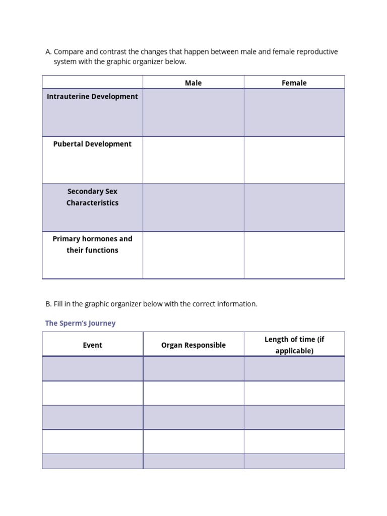 Compare and Contrast The Changes That Happen Between Male and Female ...