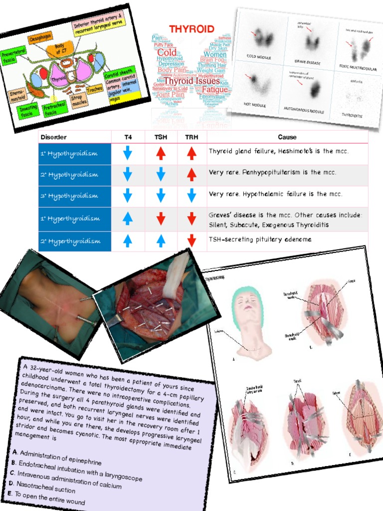 Handout PDF | PDF | Hypothyroidism | Thyroid