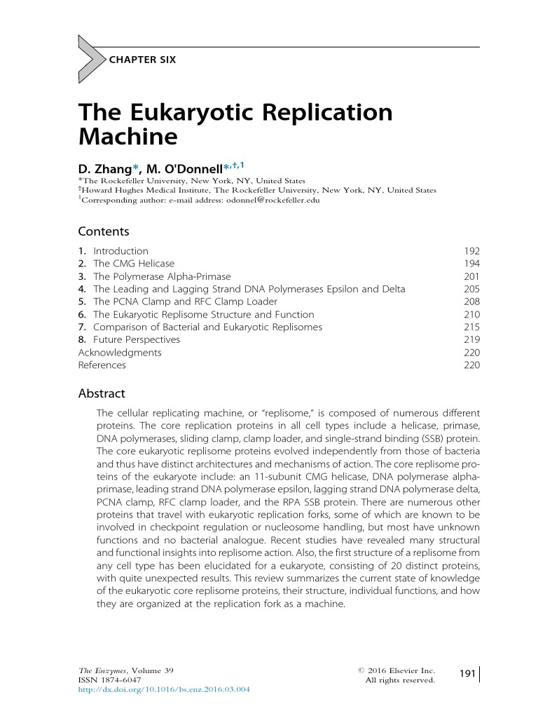 The Eukaryotic Replication Machine: D. Zhang, M. O'Donnell | Download ...