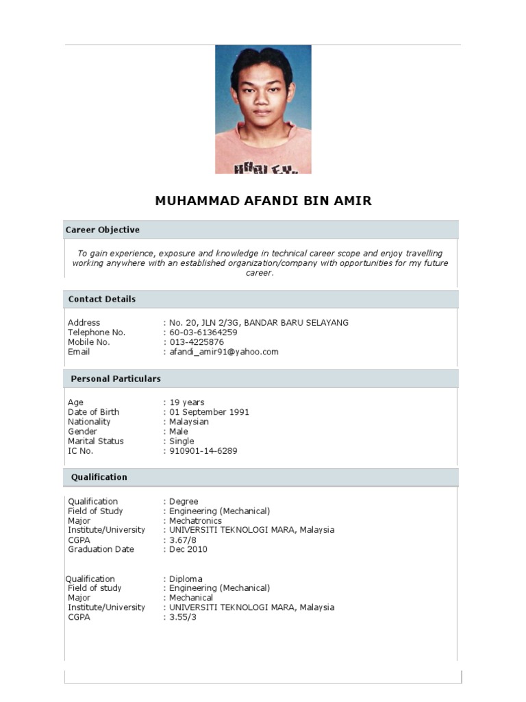 Muhammad Afandi's Career Profile | PDF | Engineering | Science