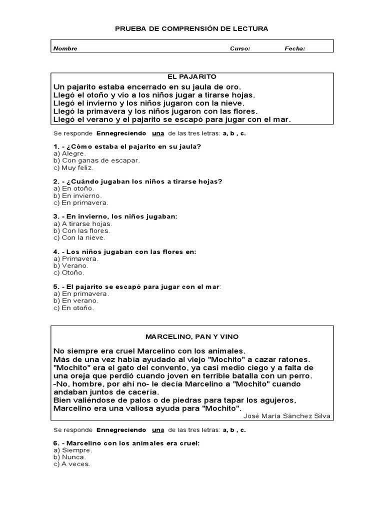 Prueba de Comprensión Lectora | PDF | Arte