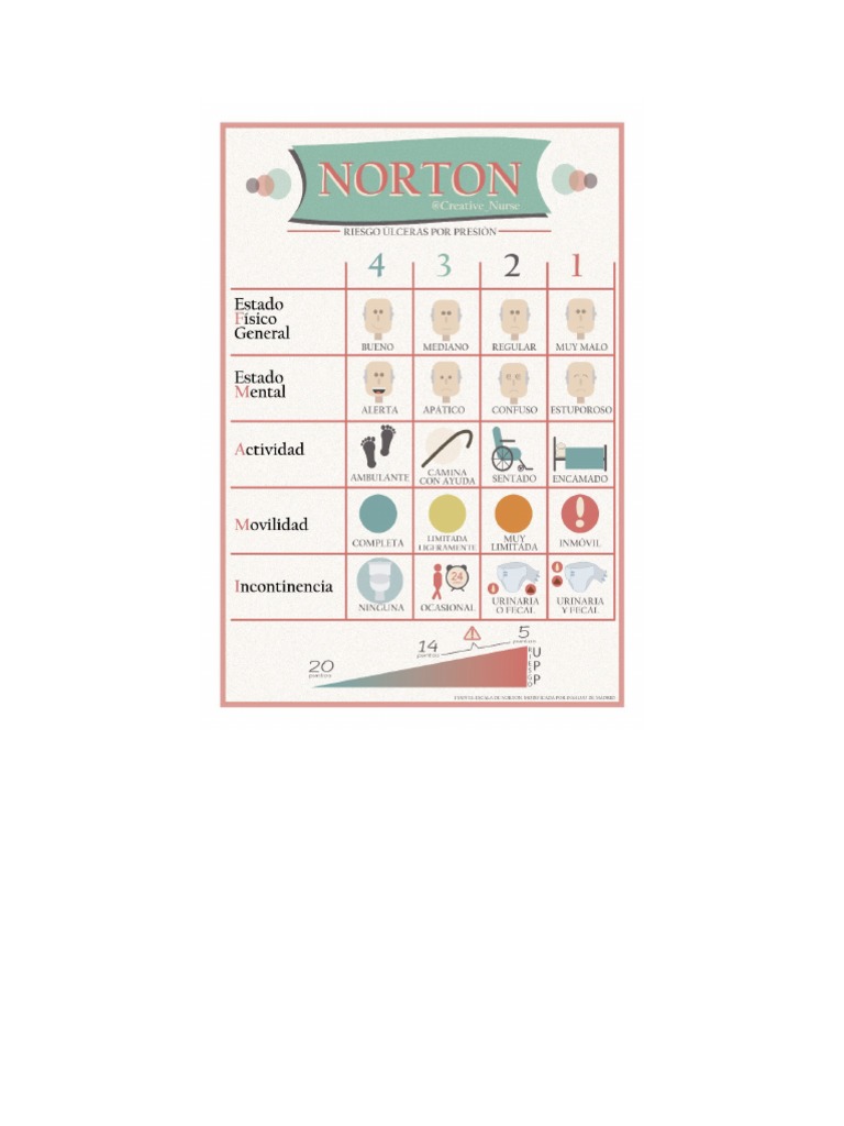 Escala de Norton | PDF
