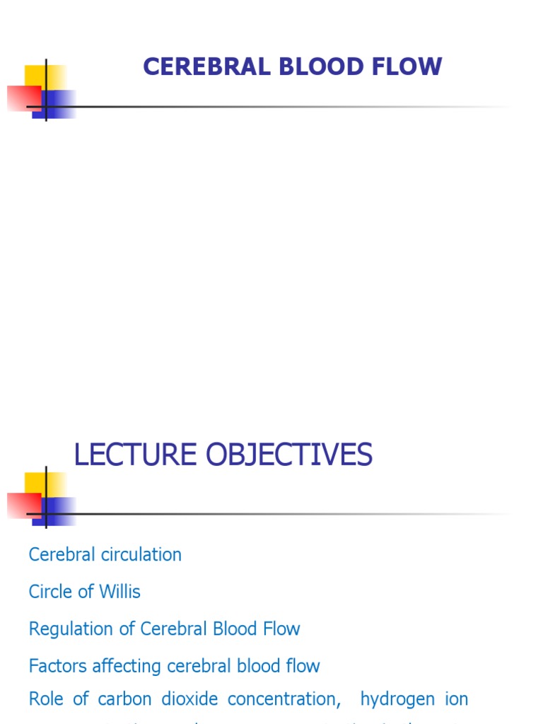 24 Cerebral Blood Flow | PDF | Hemodynamics | Circulatory System