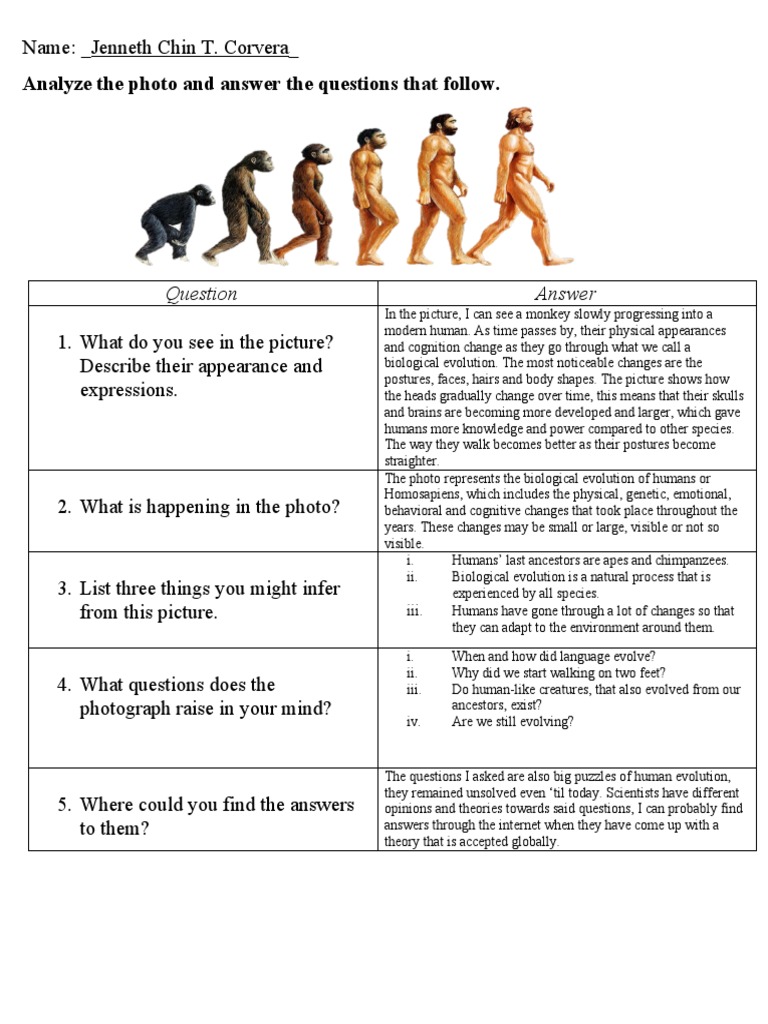 Human Evolution Analysis and Insights | PDF | Human Evolution | Human