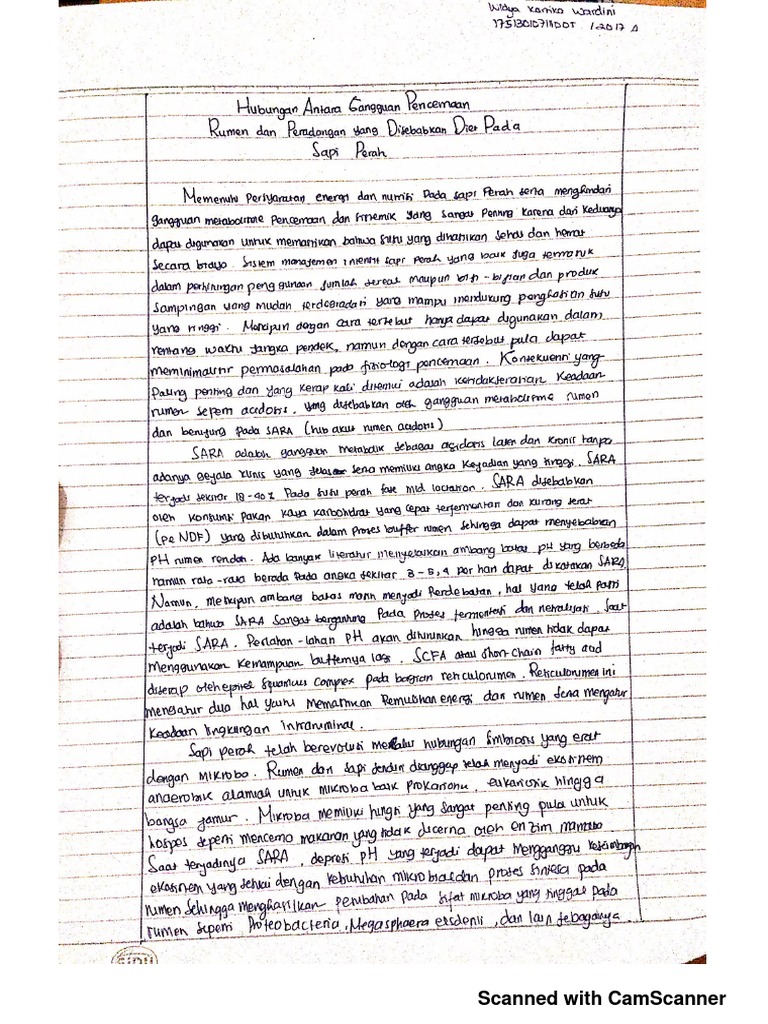 Resume SARA PDF | PDF