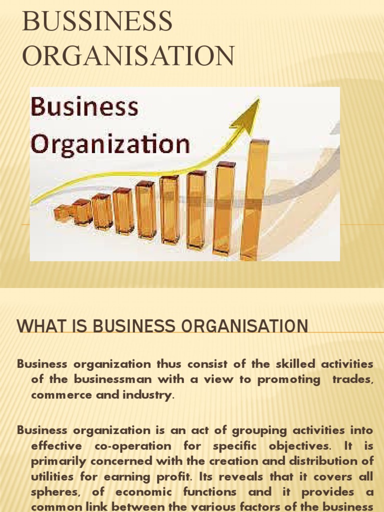 Business Organisation | PDF | Policy | Business