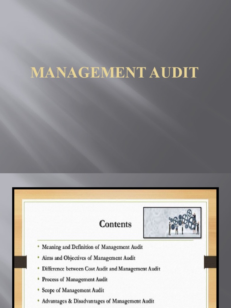 Management Audit | PDF