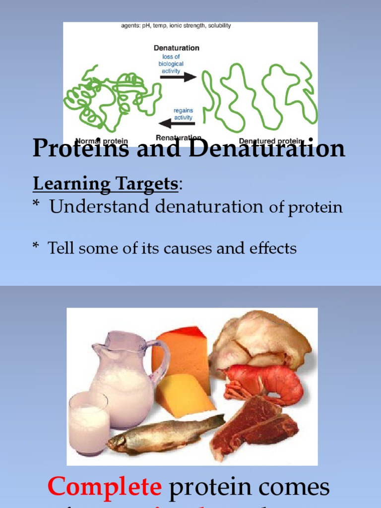 Proteins and Denaturation POWER POINT | PDF | Denaturation ...