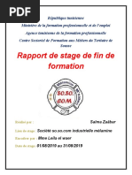 Rapport de Formation | PDF