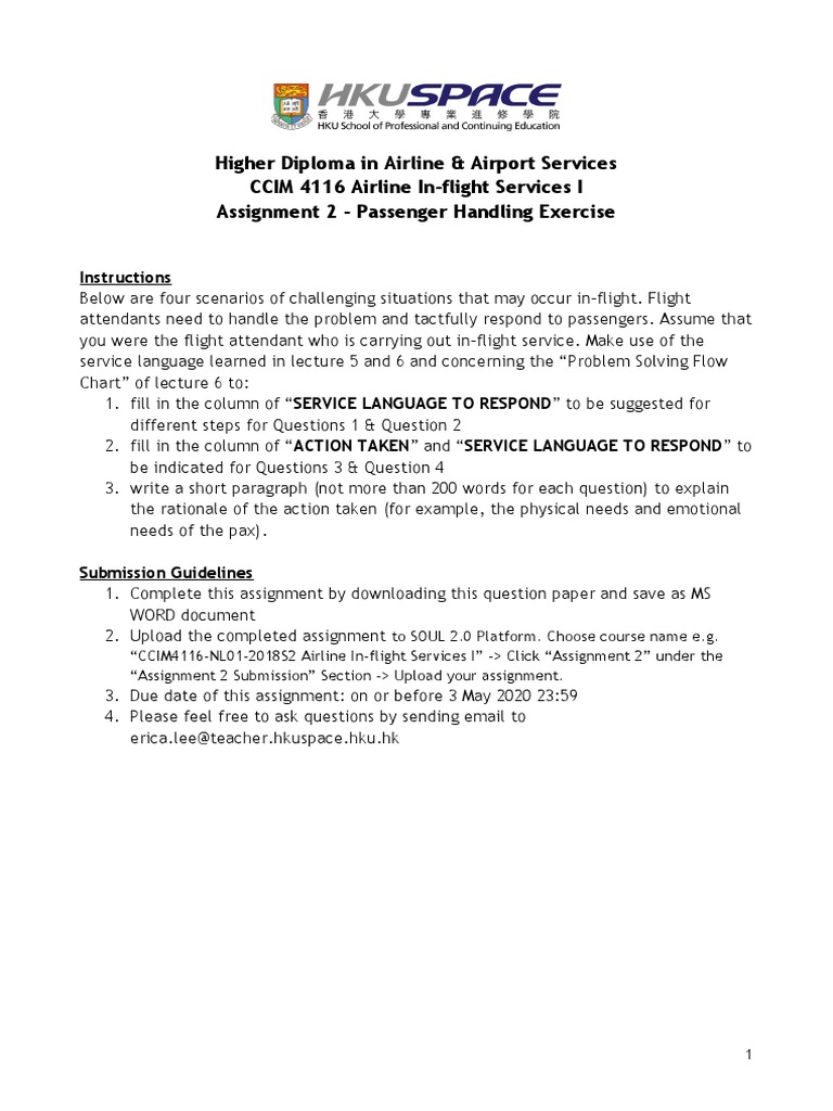 Assignment 2 - Passenger Handling Exercise | PDF | Flight Attendant ...