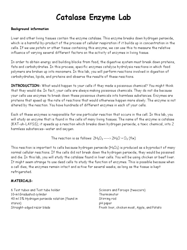 Catalase Enzyme Lab Revised | PDF | Catalase | Enzyme