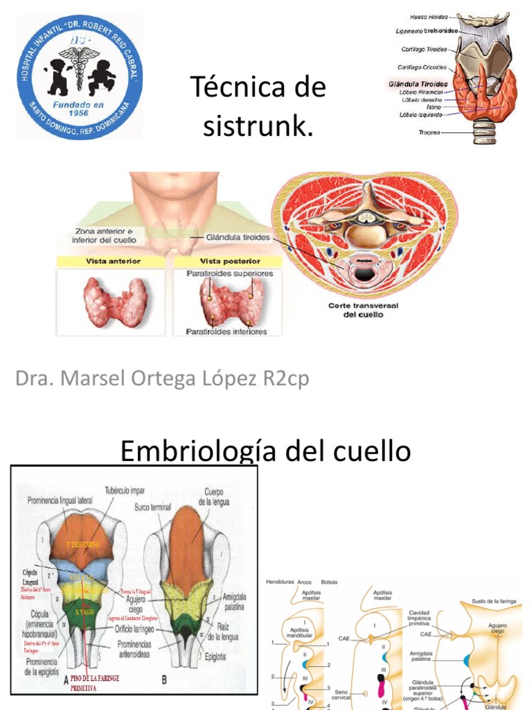 Técnica de Sistrunk | PDF