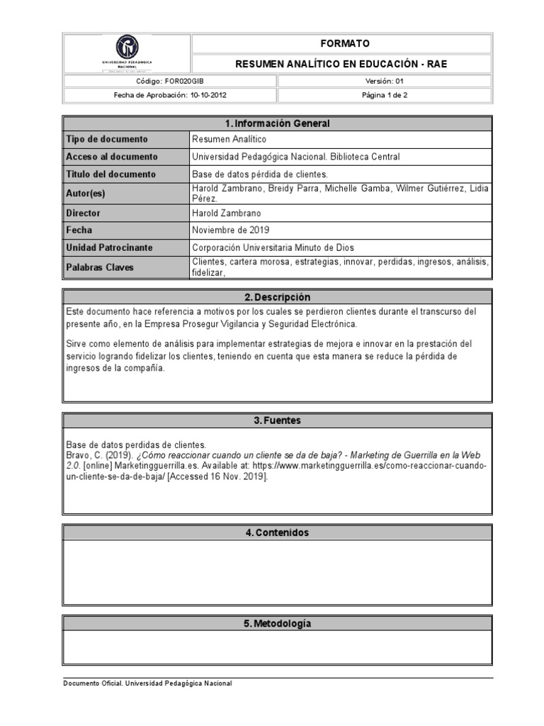 Formato Rae | PDF | Tecnologías de la información | Business