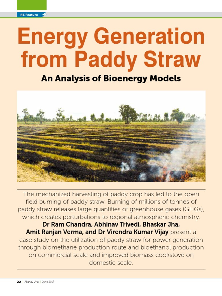 Energy Generation From Paddy Straw: An Analysis of Bioenergy Models ...