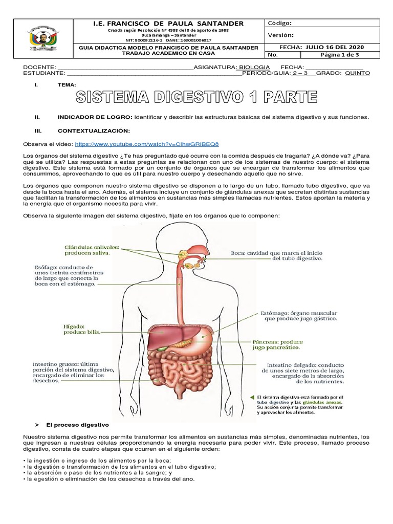 Ciencias Naturales | PDF | Digestión | Sistema digestivo humano