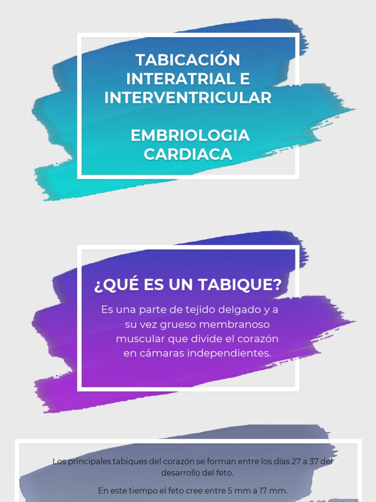 Tabicación Interatrial E Interventricular Embriologia Cardiaca | PDF ...