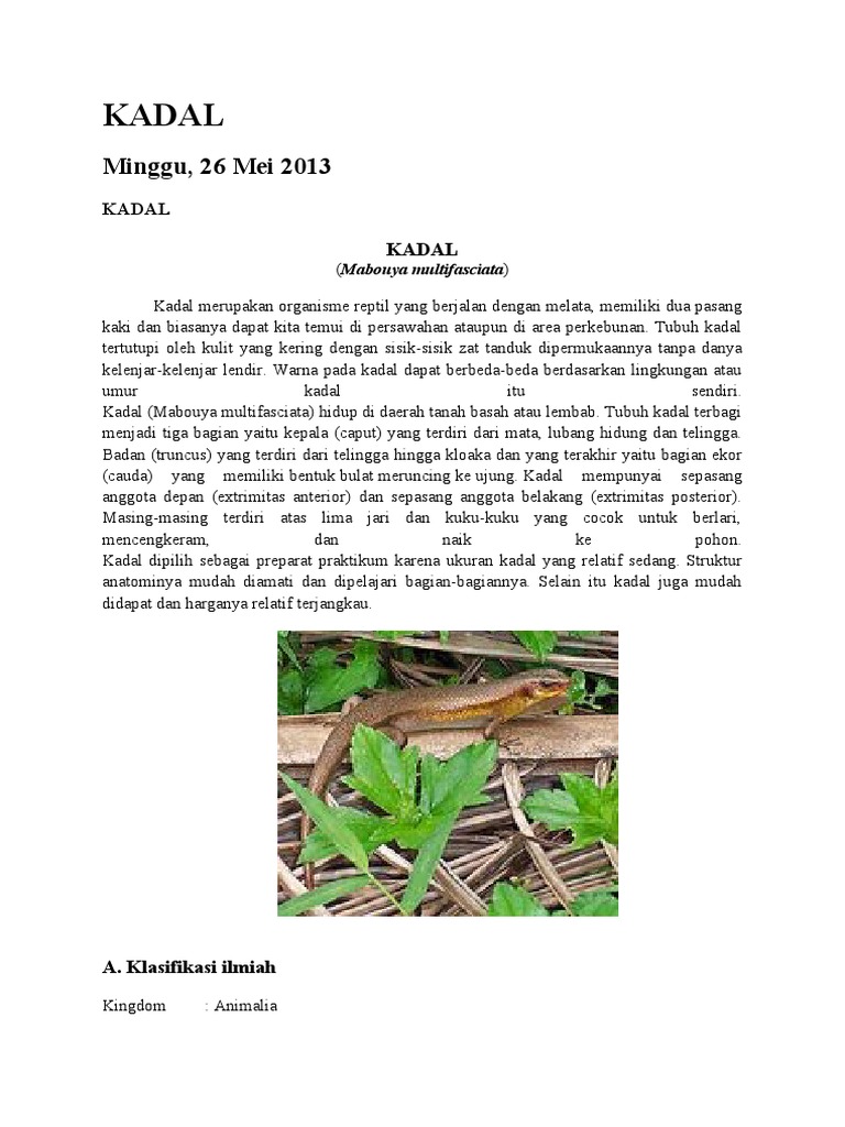 KADAL | PDF | Ilmu Sosial | Sains & Matematika