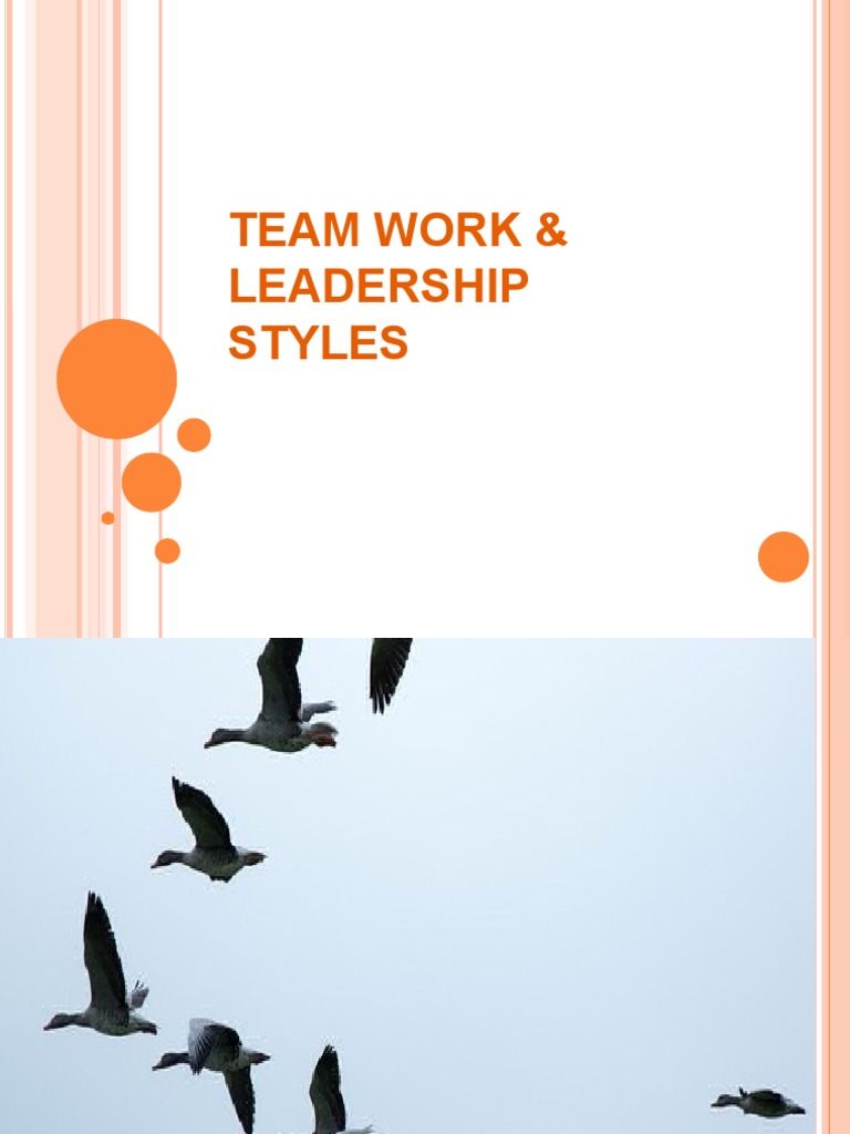 Team Work & Leadership Styles | PDF | Leadership | Systems Psychology
