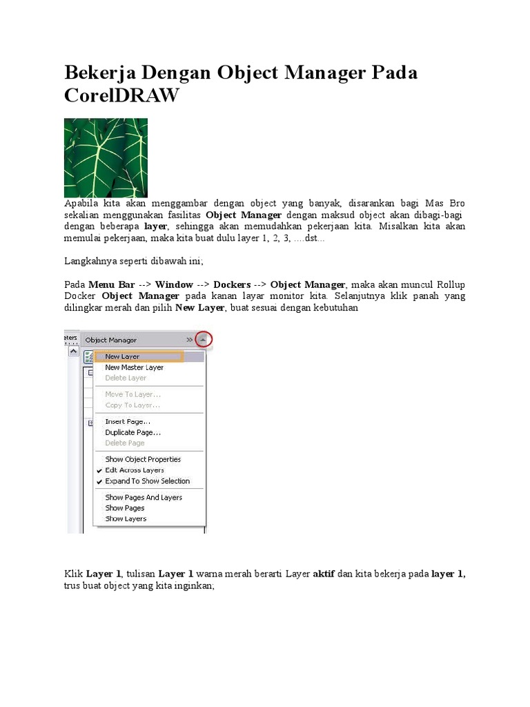 Bekerja Dengan Object Manager Pada Coreldraw Pdf