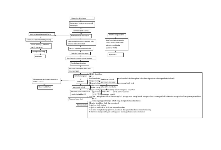 Woc Intranatal-2 | PDF