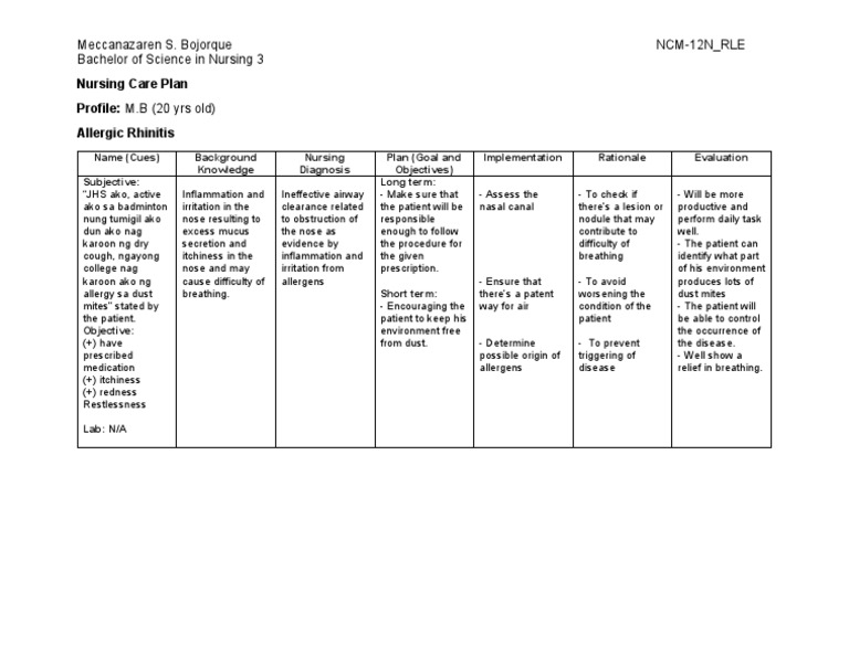 Nursing Care Plan Profile: M.B (20 Yrs Old) Allergic Rhinitis | PDF ...