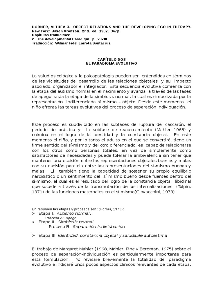 Teoría de La Técnica-Horner PDF | PDF | Teoría de apego | Las emociones