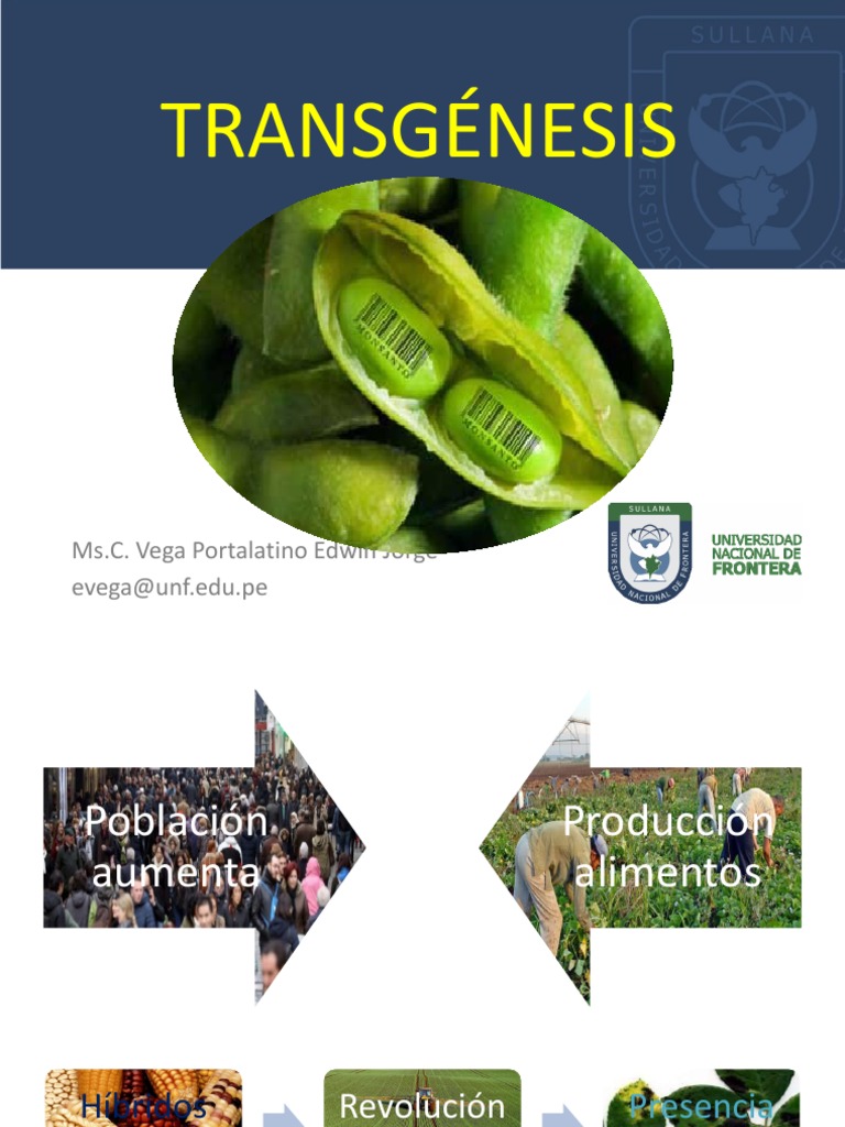 13 Metodos de Transgenesis | PDF | Transformación (Genética ...