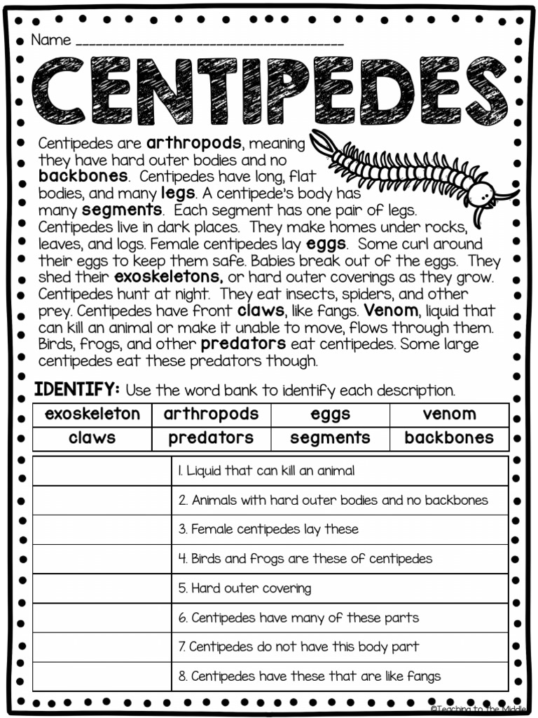 Centipedes | PDF | Predation | Claw