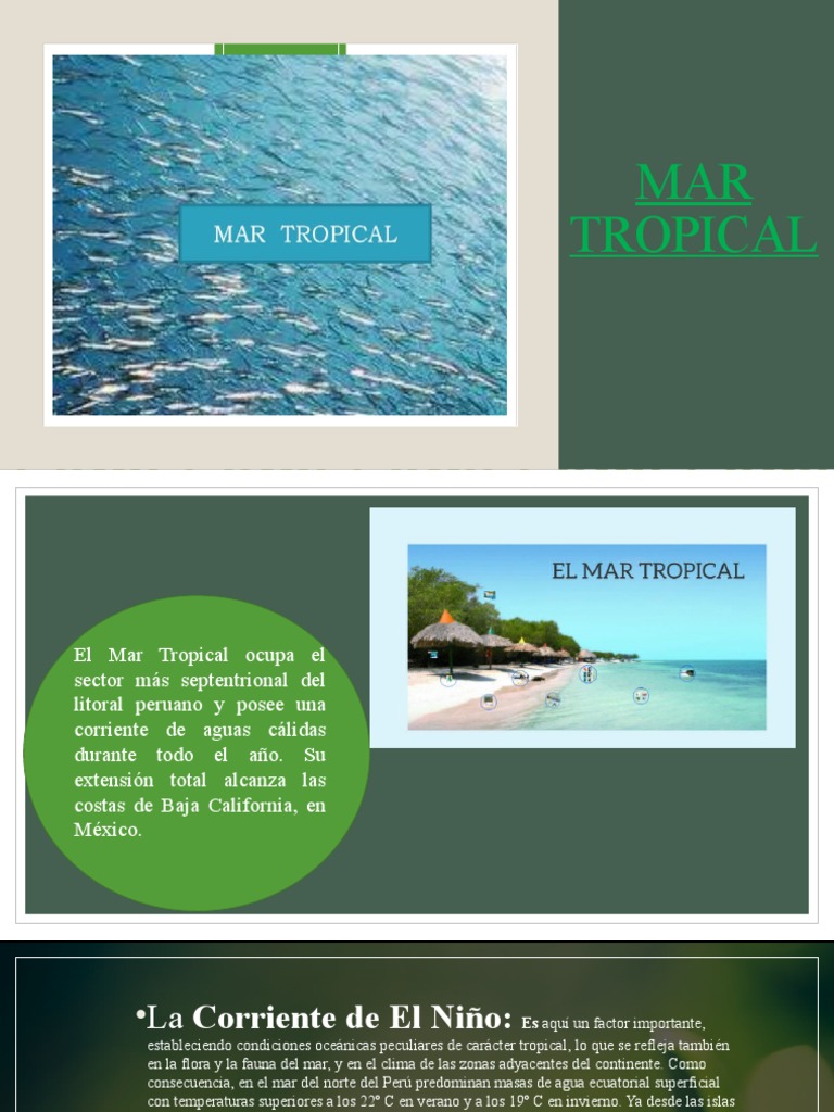 Mar Tropical | PDF | Mar | Geografía Física