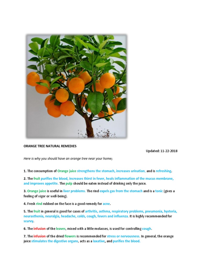 The Healing Properties of Orange Trees: A Guide to Using Orange Juice ...