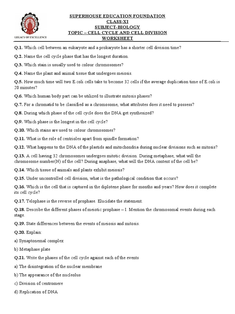 Cell Cycle and Division-Worksheet | PDF