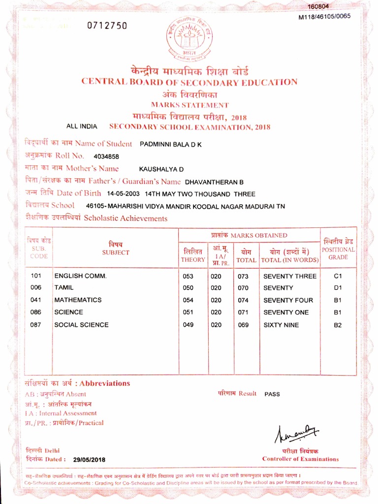 Class 10 Marksheet PDF | PDF