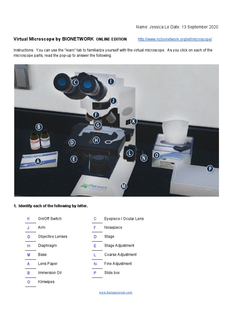 Virtual Microscope Lab Analysis | PDF | Science & Mathematics | Computers