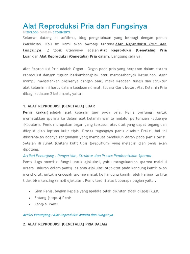 Alat Reproduksi Pria Dan Fungsinya | PDF